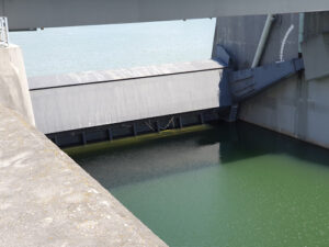 The Donauinsel